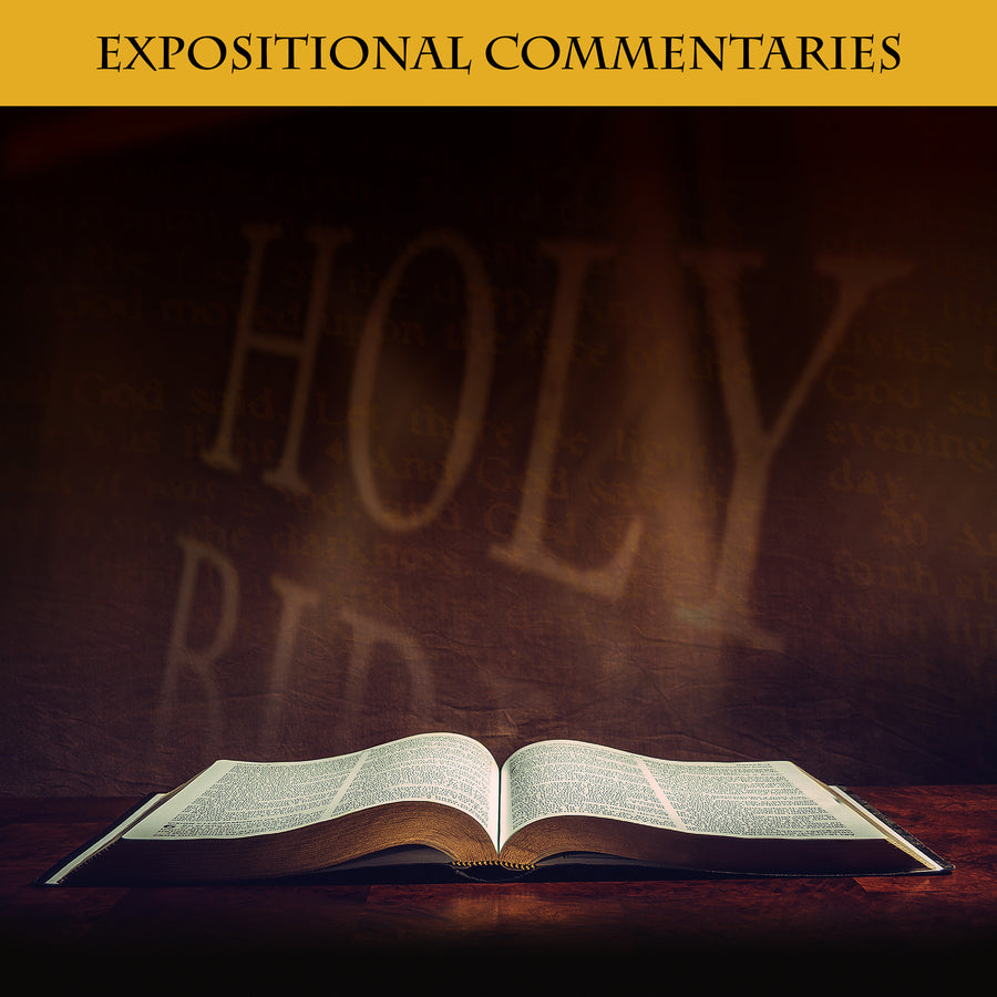 Koinonia House Store